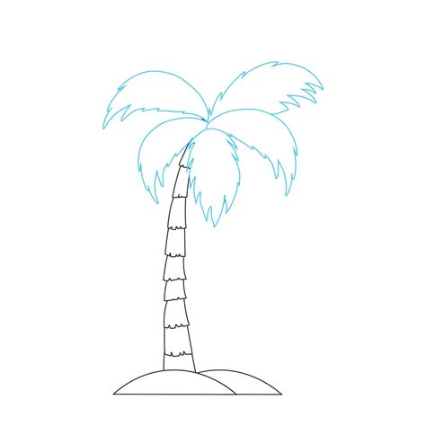 How To Draw A Palm Tree Step By Step
