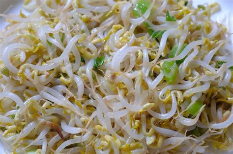 Premium Photo Stir Fried Bean Sprouts Green Bean Sprouts Are A