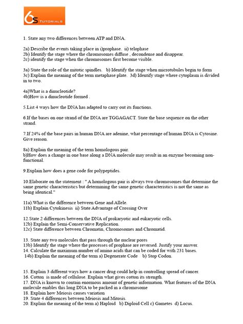 Dna Basics 3 Pdf