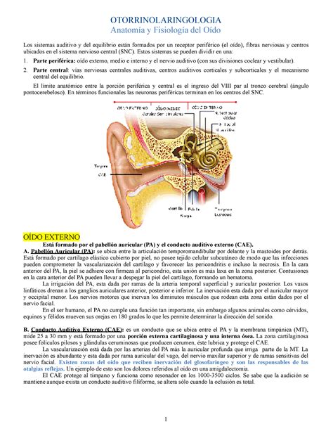 20 ORL Carpeta otorrino original doc versión 1 OTORRINOLARINGOLOGIA