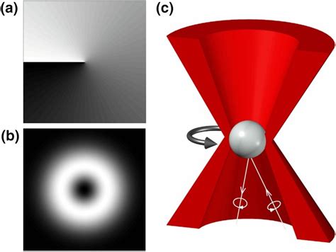 Optical Vortex A Cross Section Of The Phase Distribution Central Download Scientific Diagram