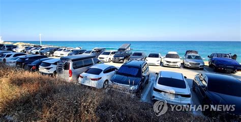 해맞이 명당 선점한 차들 연합뉴스