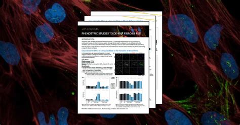 In Vitro Fibrosis Assay Services Phenovista Biosciences