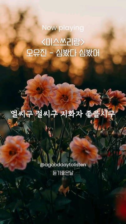 미스쓰리랑 오유진 심봤다 심봤어 오유진노래 오유진노래모음 트로트 미스쓰리랑노래 심봤다심봤어오유진 오유진미스