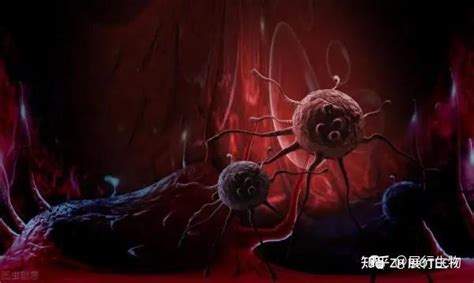 癌症检测从有创到无创，液体活检带来普查有可能吗？ 知乎
