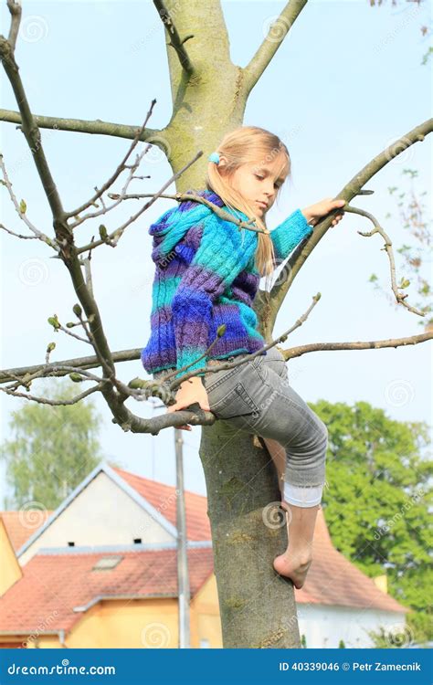 Peu D Enfant Fille S Asseyant Sur L Arbre Photo Stock Image Du