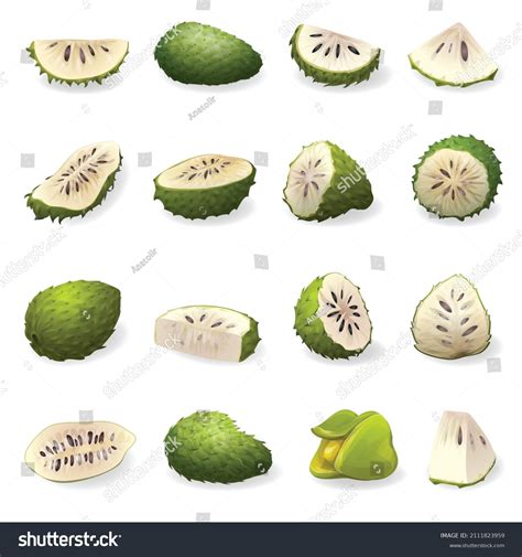 Soursop Icons Set Cartoon Vector Annona Stock Vector Royalty Free