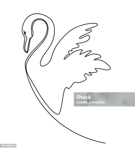 날개를 펼친 백조 연속 선화 벡터 일러스트 레이 션입니다 라인아트에 대한 스톡 벡터 아트 및 기타 이미지 라인아트 백조 벡터 Istock