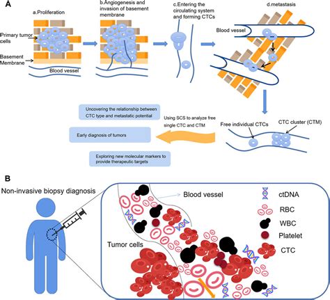 Frontiers Single Cell Analysis Technologies For Cancer Research From