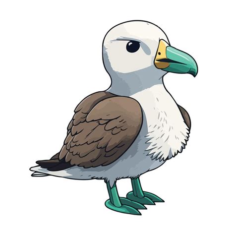 Linda Albatros Dibujos Animados Estilo 20901579 Vector En Vecteezy