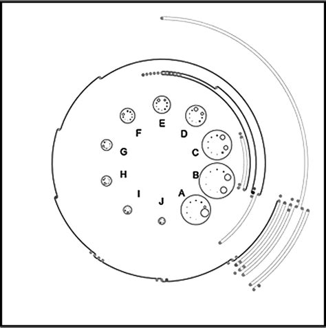 Shows Our Visualization Of The Scanpaths For A Participant During A