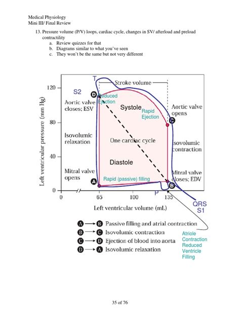 Pv Loop Pdf