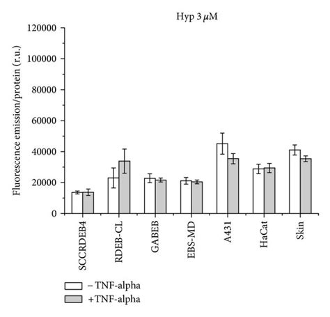Relative Photosensitizer Fluorescence Intensity In All Cell Lines At