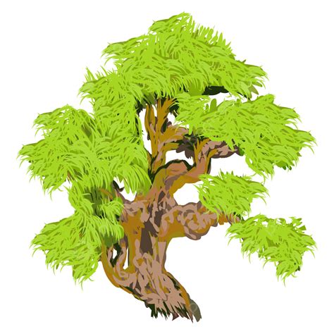 분재의 그림 벡터 분재 나무 삽화 Png 일러스트 및 벡터 에 대한 무료 다운로드 Pngtree