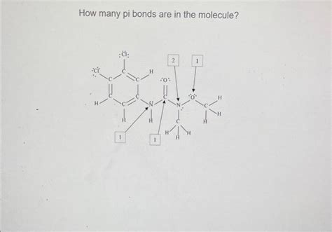 Solved How Many Pi Bonds Are In The Molecule Chegg Com