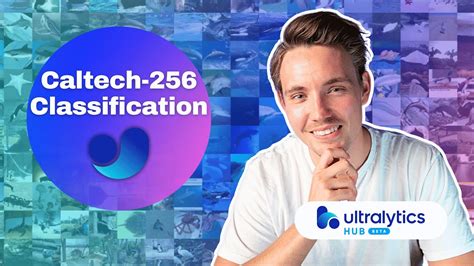 How To Train Image Classification Model Using Caltech 256 Dataset With