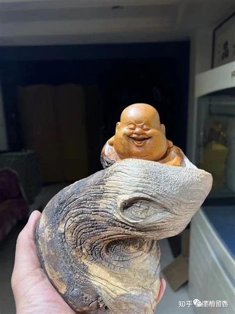 太行崖柏算不算稀缺资源呢？ 知乎