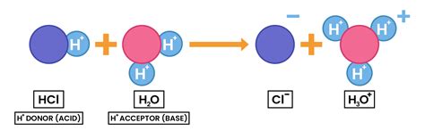 Edexcel Igcse Chemistry Topic 16 Acids Bases And Salt Preparations 002