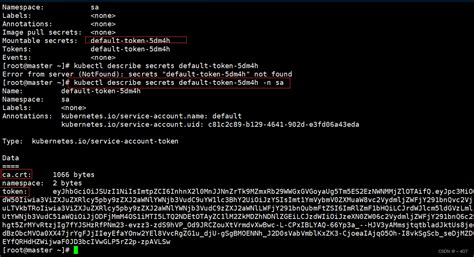 Kubernetes（k8s）安全机制绑定sa跟secret Csdn博客