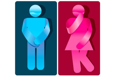 Urodynamic Study Of The Bladder Healthtips By Teleme