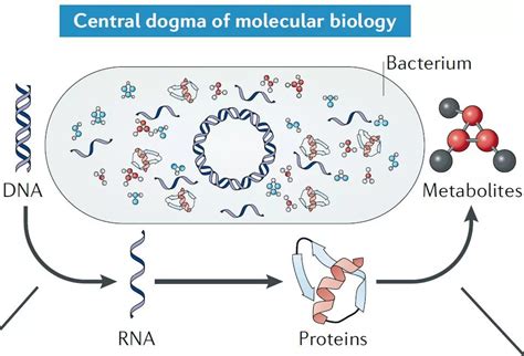 Nature综述：手把手教你分析菌群数据 Csdn博客