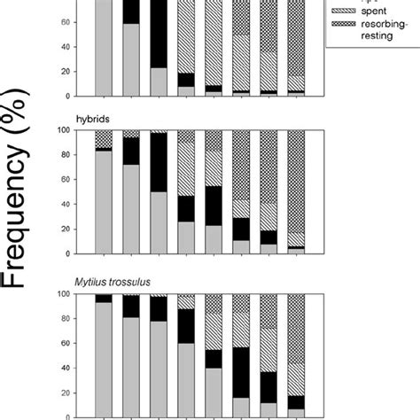 Mytilus Spp Frequency Distribution Of Gonad Maturation Stages In Download Scientific Diagram