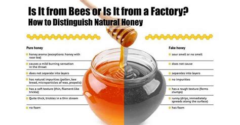 Real Honey Vs Fake Honey In The Supermarket