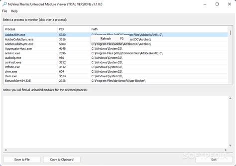 Unloaded Module Viewer Download Softpedia