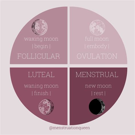 Women Move Through Four Distinct Phases Of Their Cycles While The Moon