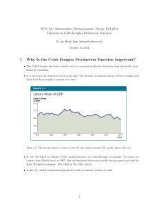 Cobb Douglas Production Function