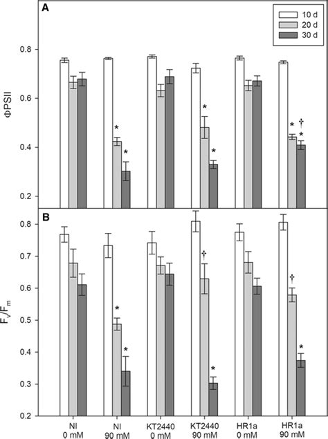 Chlorophyll Fluorescence Parameters In Plants Subjected To The
