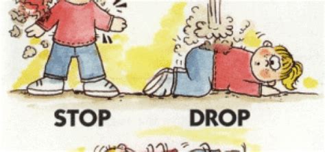 What Does Twelve Flaps Stand For First Aid For Free