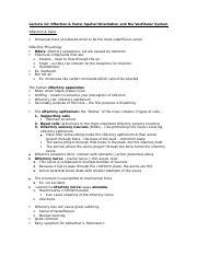 Lecture 12 PSYB51 1 Docx Lecture 12 Olfaction Taste Spatial