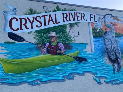 Navigating The Wonderous World Of Crystal River Florida Bountiful