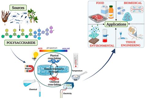 Stimuli Responsive Polysaccharide Based Smart Hydrogels And Their Emerging Applications