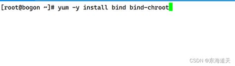 Linux下配置bind与bind Chroot服务 Csdn博客 Linux下配置bind与bind Chroot服务 Csdn博客