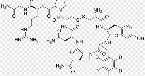 Vasopressin Structure