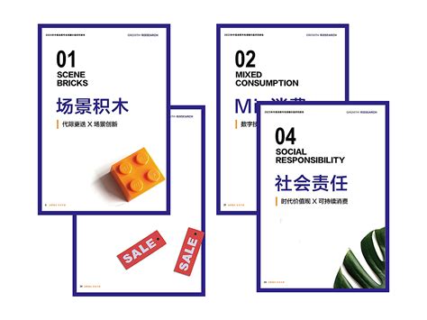 2023中国消费市场报告我喜欢橘色的光张小帆job 站酷zcool