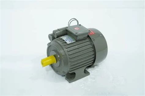 Single Phase Induction Motors At ₹ 6650piece Single Phase Ac
