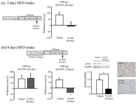 A Mice Were Given Hfd For 3 Days Before Cpp Test O 2050 10 Mgkg