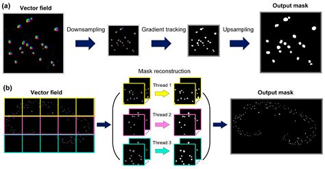 Fastcellpose A Fast And Accurate Deep Learning Framework For