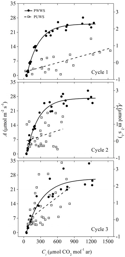 Photosynthetic Response Curves A To Intercellular Co 2 Concentration