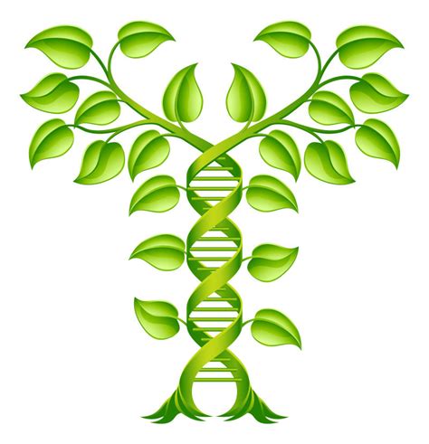 Dna