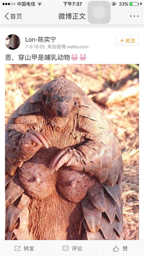 你看过最辣眼睛的图片是哪一张？ 知乎