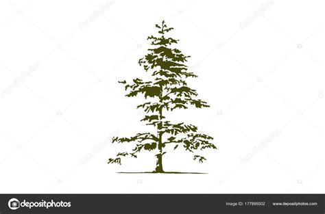 Cedar Tree Logo Design Template Vector Stock Vector Alluranet