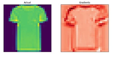 pytorch grad cam