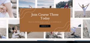 Divi Plugin Highlight Wishlist Member Divi Integration