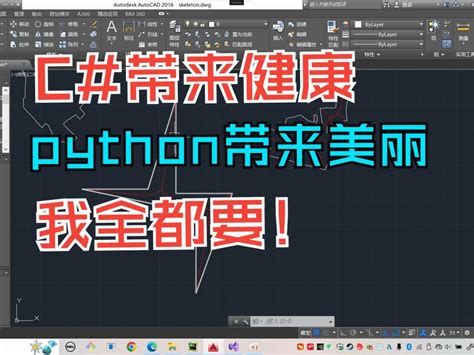 基于c 的cad二次开发项目如何调用python的（机器学习算法）脚本 哔哩哔哩