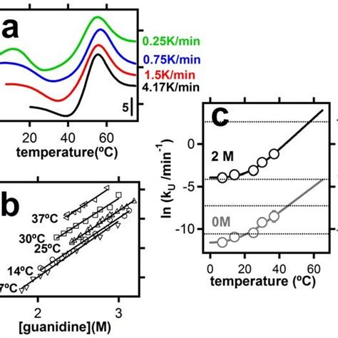 A Scan Rate Effect On The Dsc Profiles For Thioredoxin Heat And Cold Download Scientific