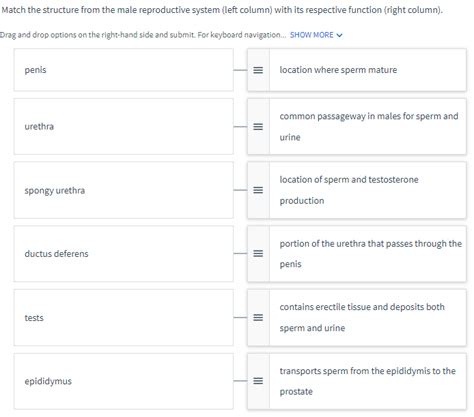 Solved Match The Structure From The Male Reproductive System Chegg Com